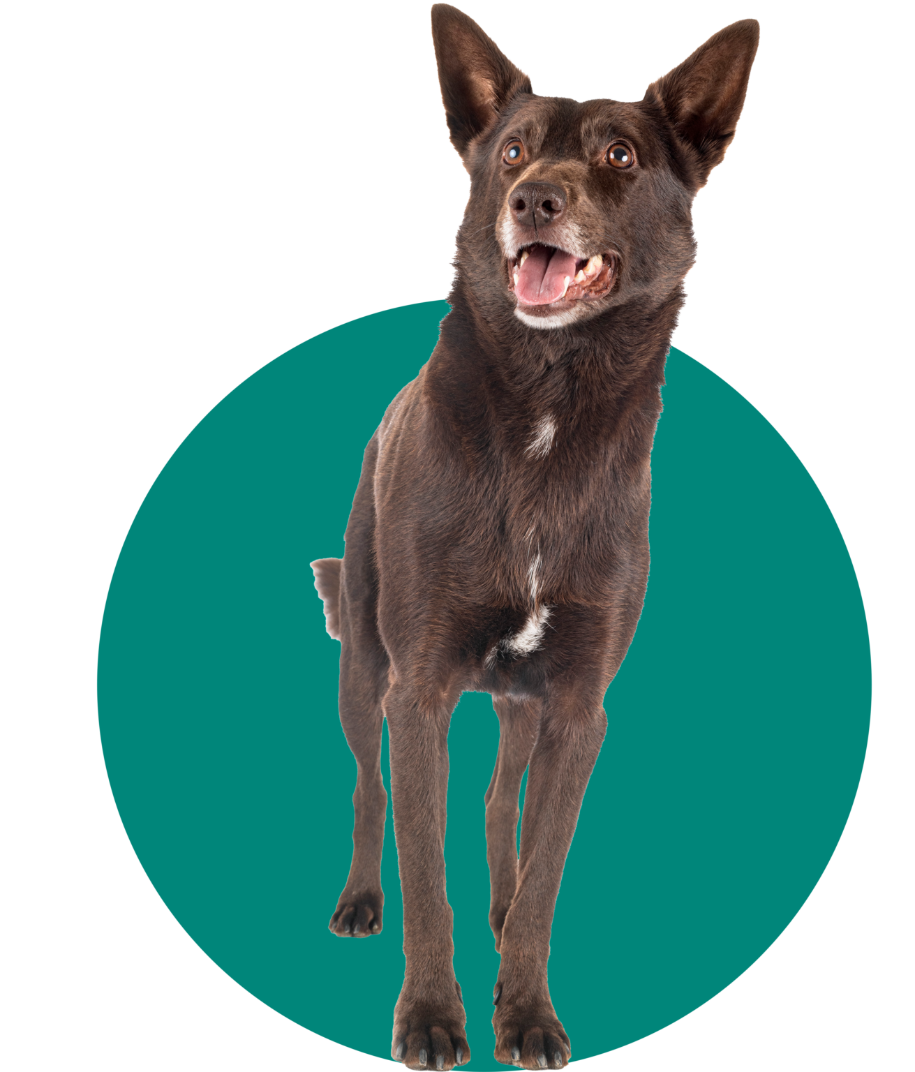 We’ve applied: Project grant from the Swedish Postcode Lottery